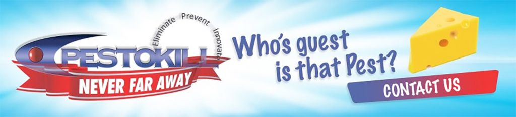 Our Origin – Pestokill